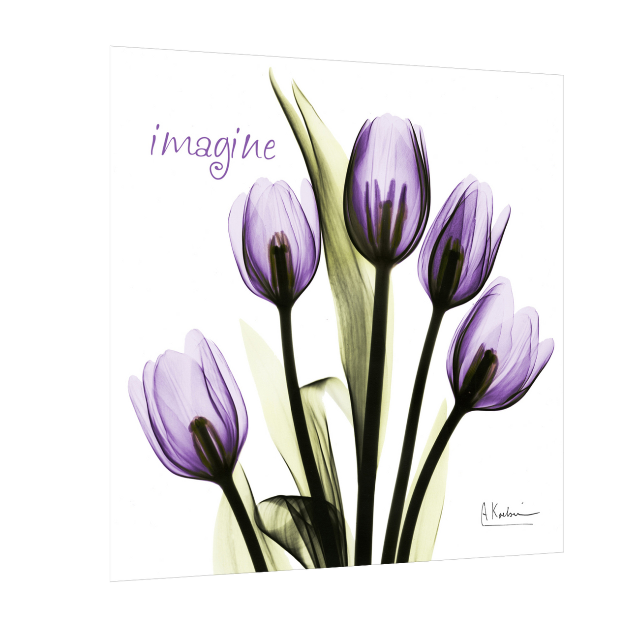 Purple Tulip Flower imagine Modern Home Decoration Purple Flower Paint ...